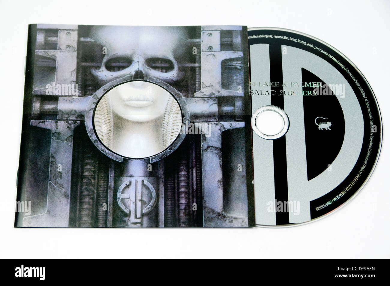 Brain Salad Surgery