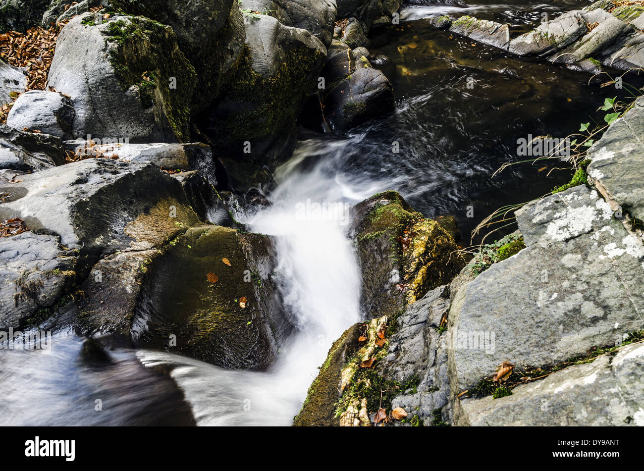 Stream water rocks hi-res stock photography and images - Alamy