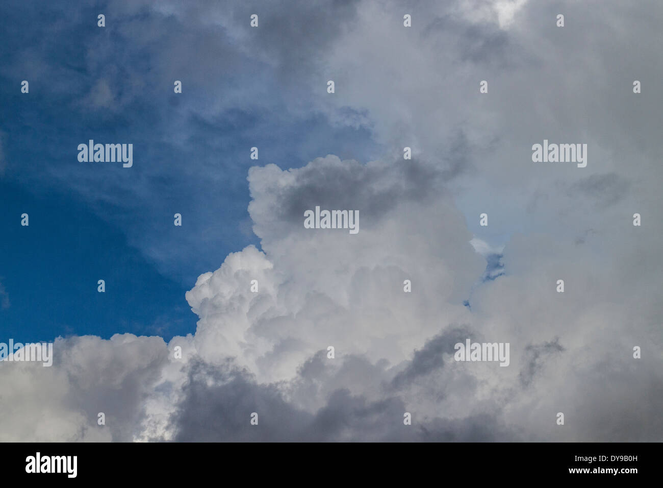 Stormy wing hi-res stock photography and images - Alamy