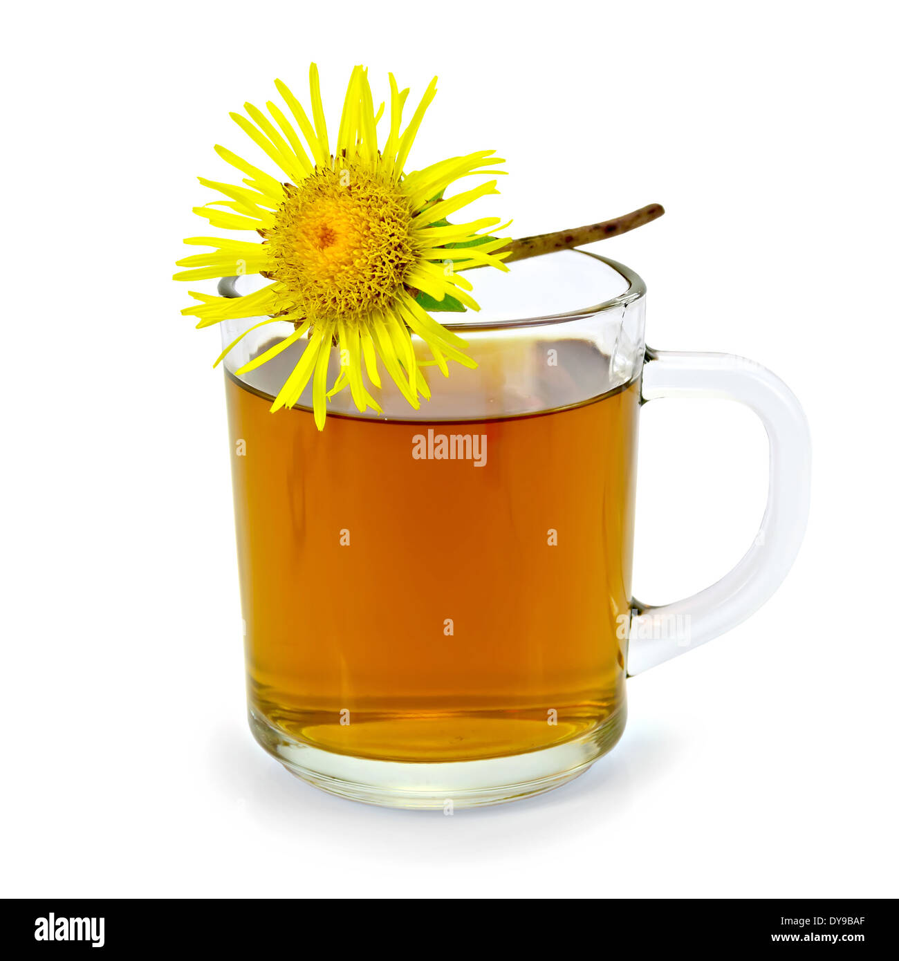 Herbal tea with elecampane in glass mug isolated on white background ...