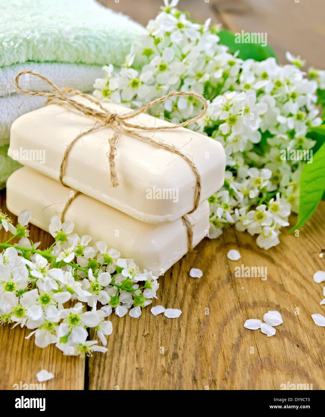 Soap bird hi-res stock photography and images - Alamy