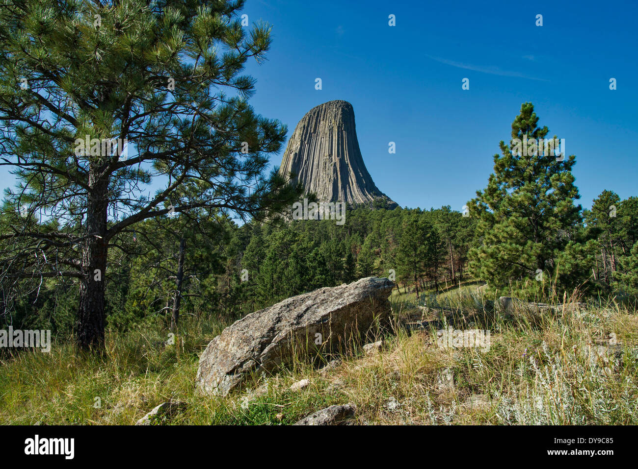 Devil's Tower, National Monument, Wyoming, USA, United States, America ...