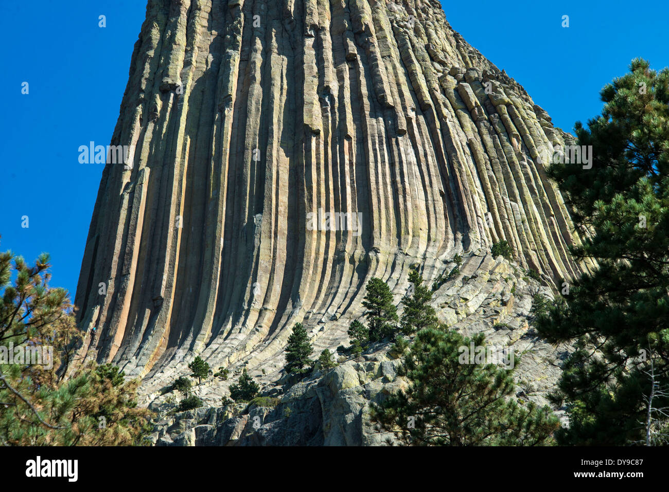 Devil's Tower, National Monument, Wyoming, USA, United States, America ...