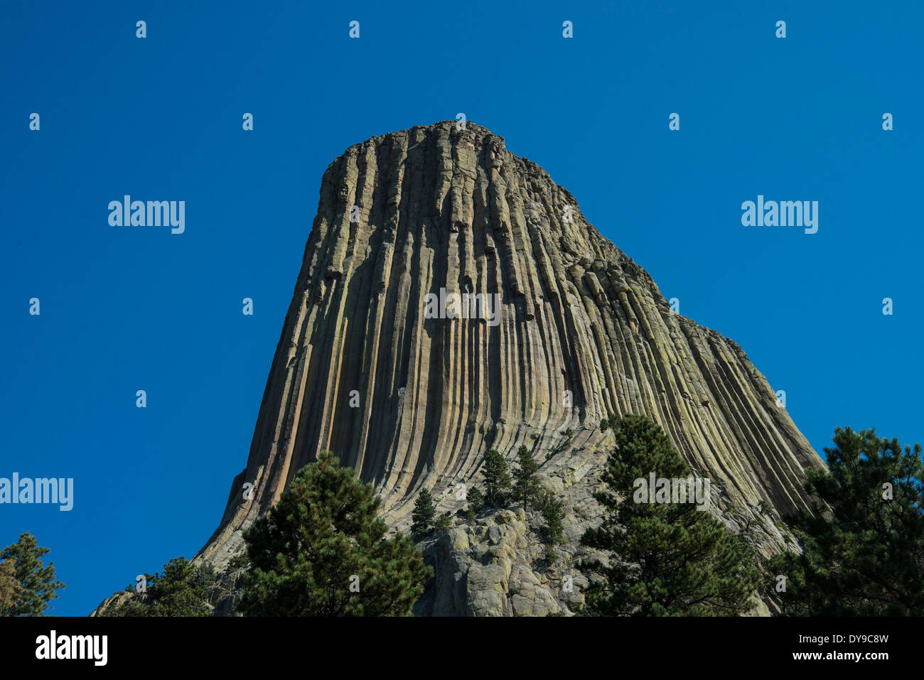 Devil's Tower, National Monument, Wyoming, USA, United States, America ...