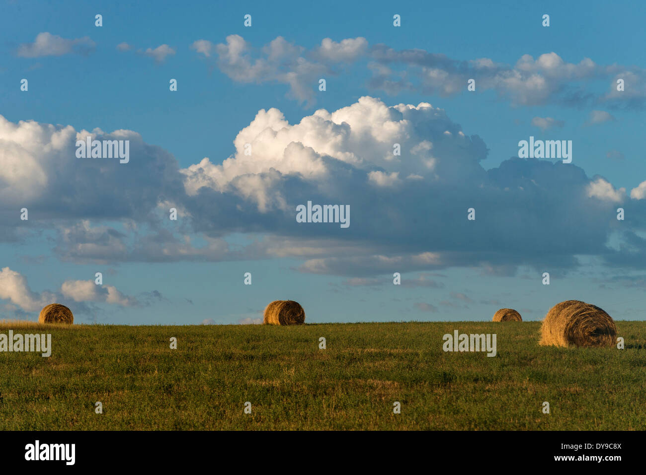 Round hay bales hi-res stock photography and images - Alamy