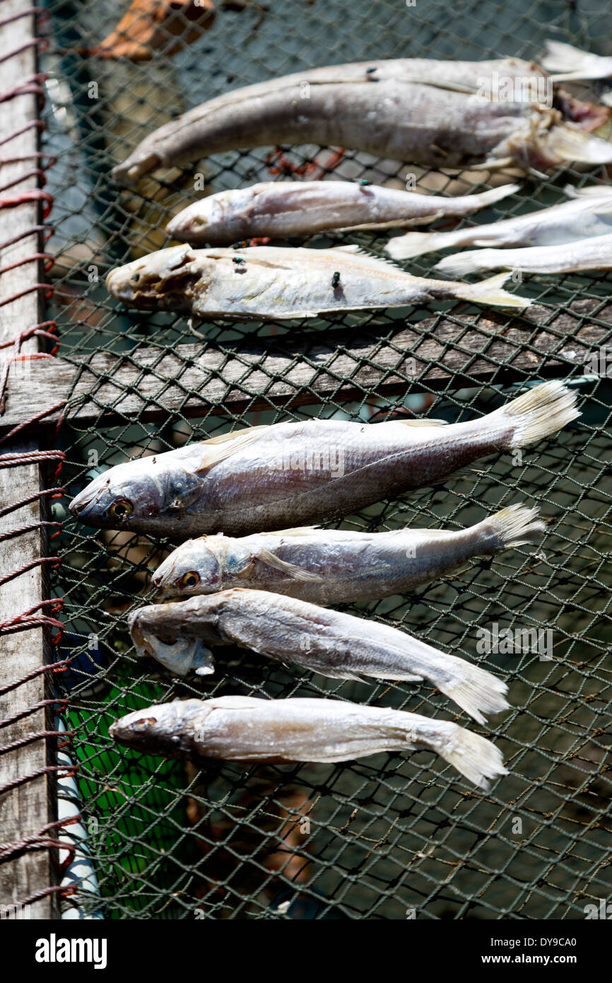 Roasted fish hi-res stock photography and images - Alamy