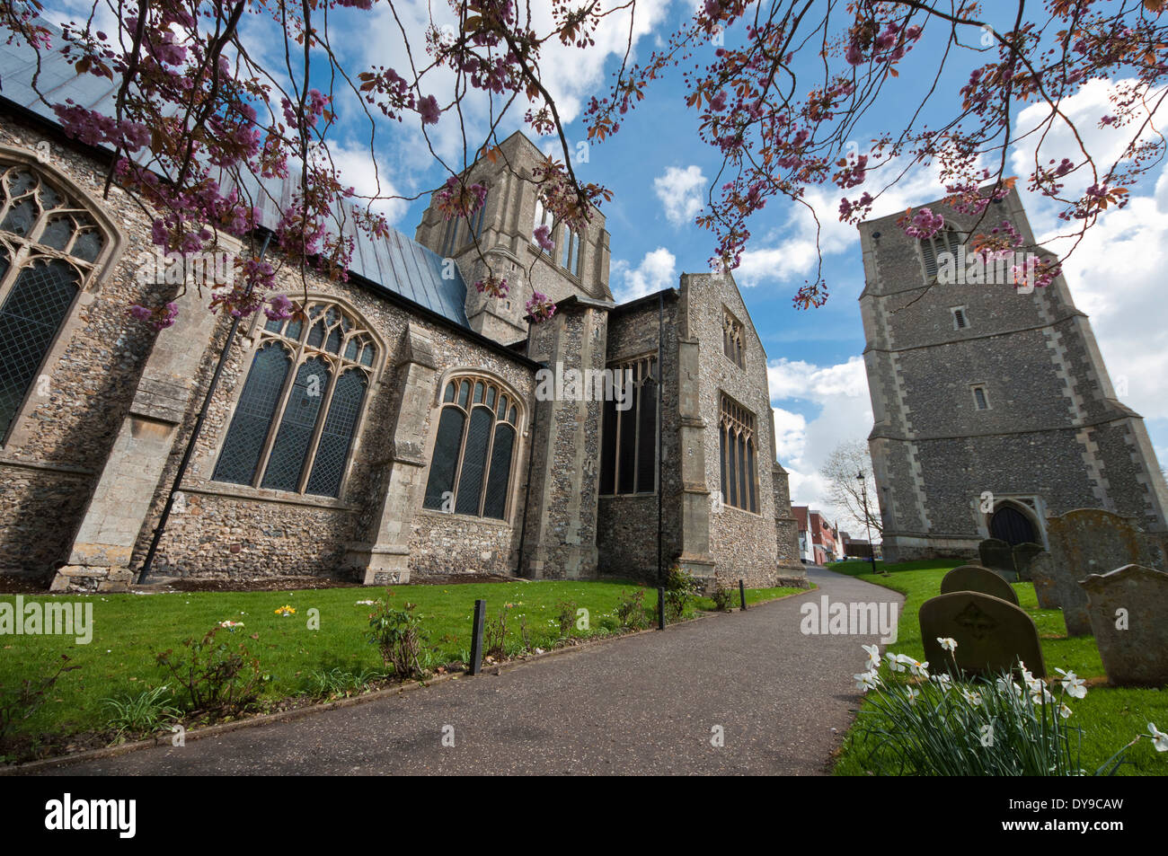 St. Nicholas Church East Dereham Stock Photo - Alamy