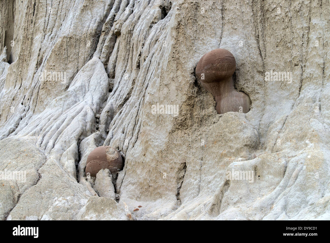 geological, concretion, Theodore, Roosevelt, National Park, North ...