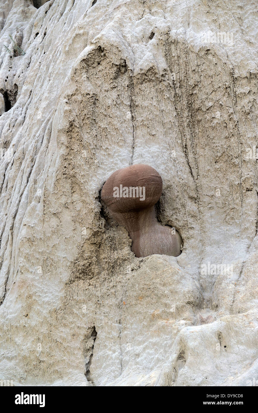 geological, concretion, Theodore, Roosevelt, National Park, North ...