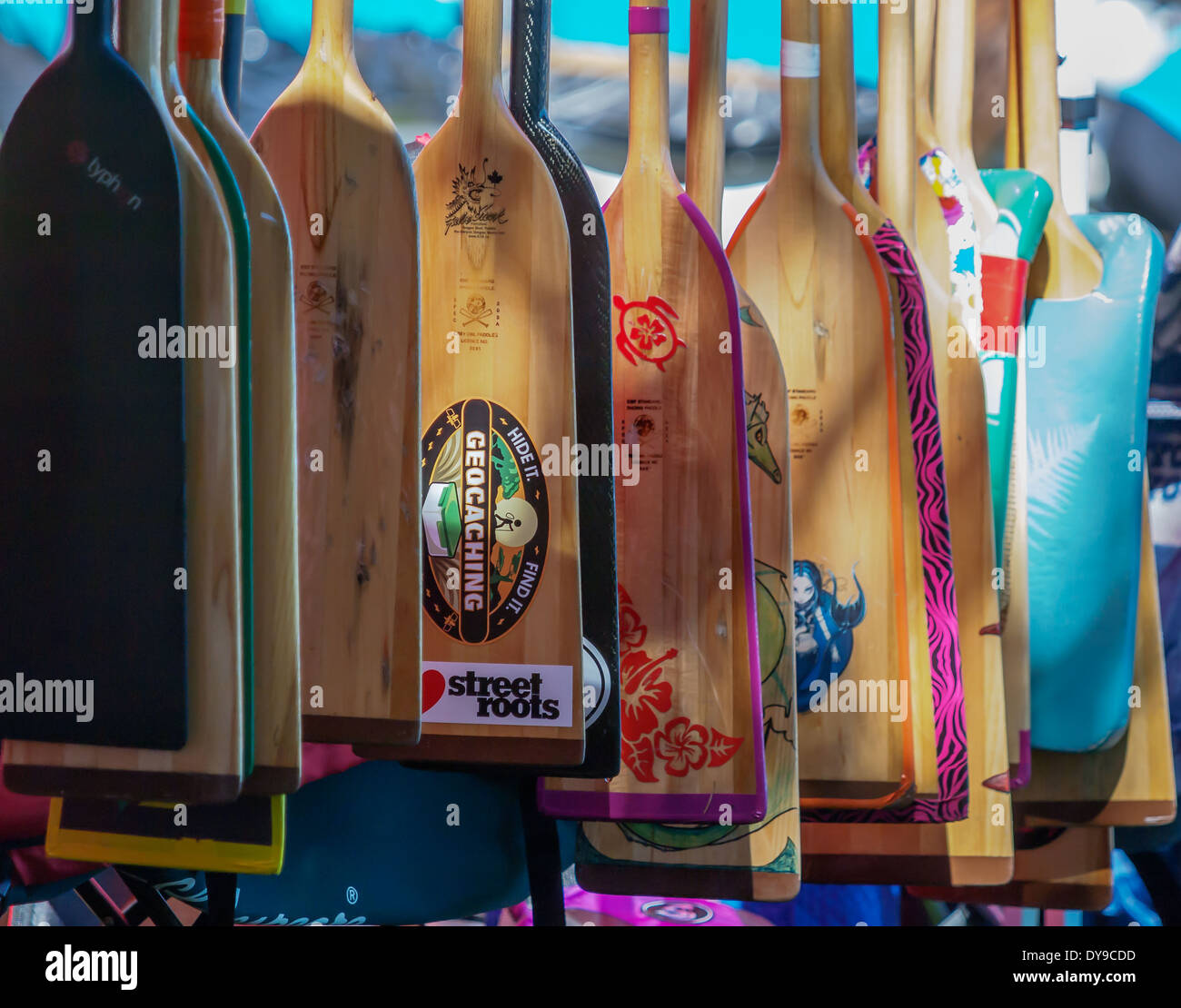 Closeup image of the paddles used at the dragon boat race Stock Photo ...