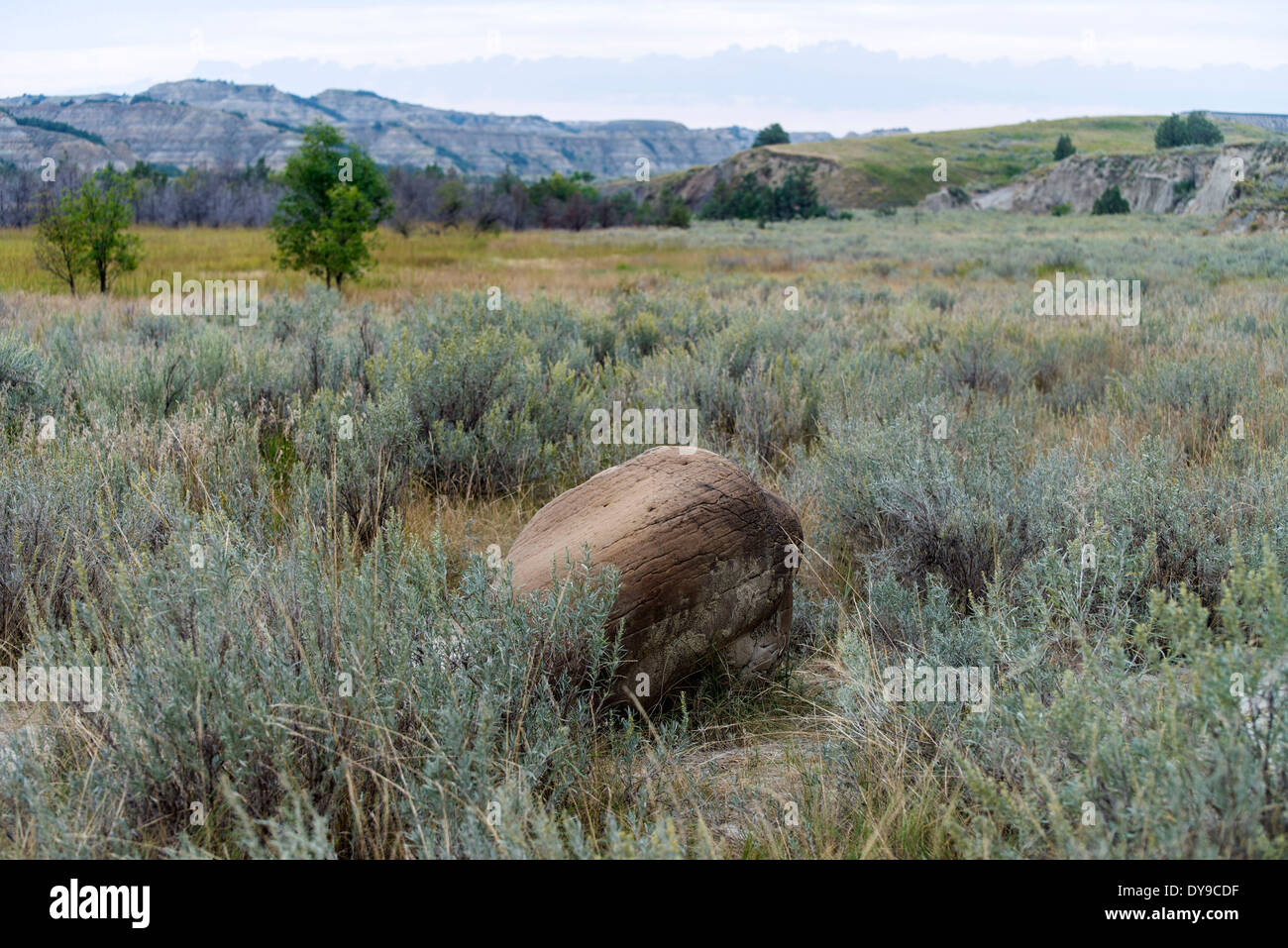 geological, concretion, Theodore, Roosevelt, National Park, North ...