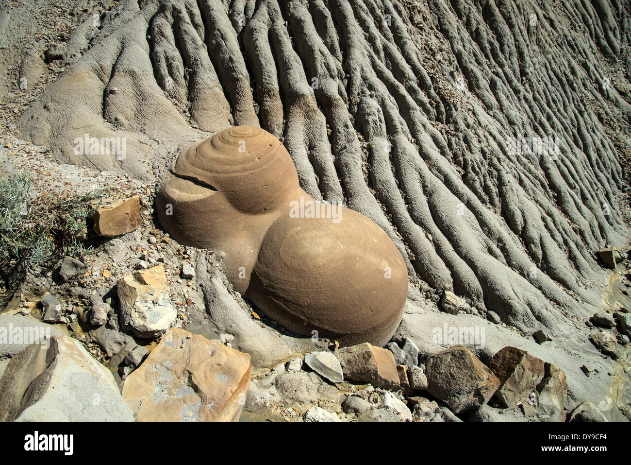 geological, concretion, Theodore, Roosevelt, National Park, North ...