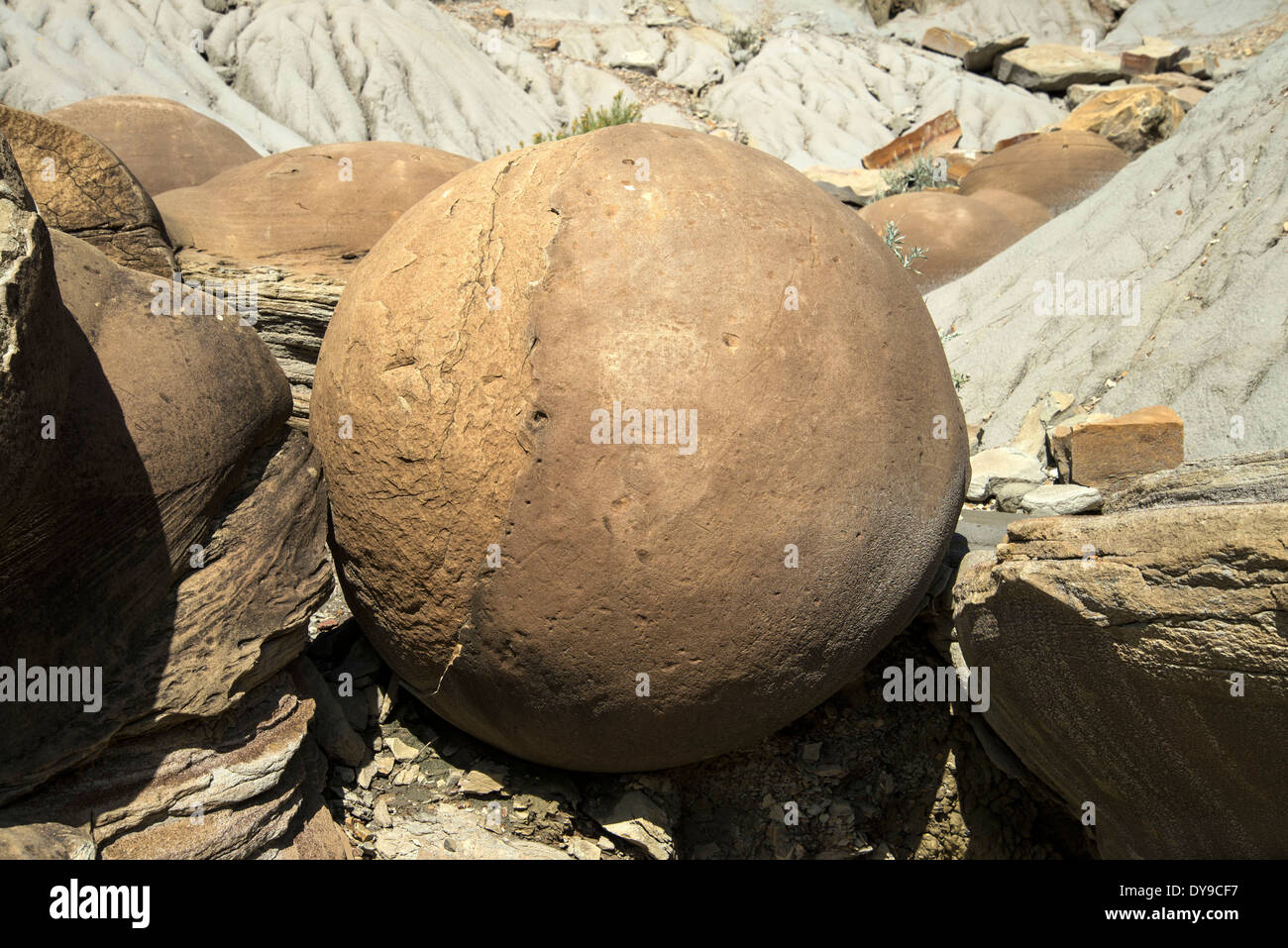Concretion hi-res stock photography and images - Alamy