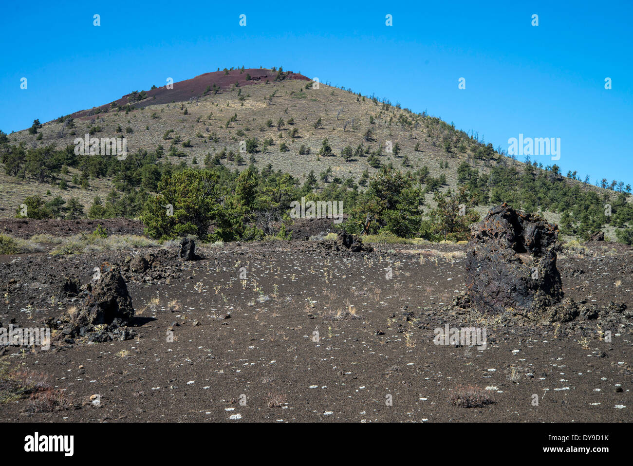 lava tree fossilized formation Craters of the Moon National Monument ...