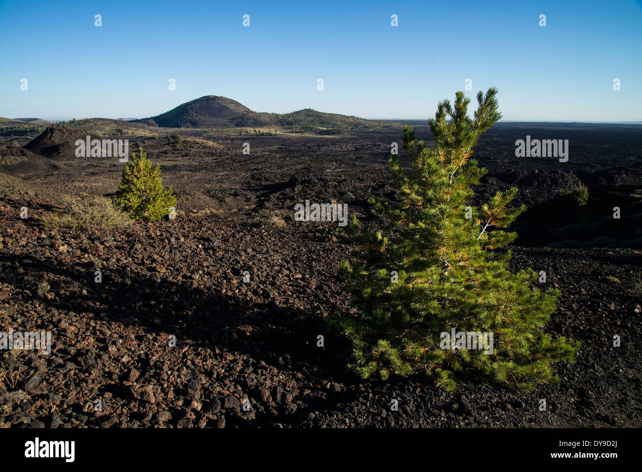 lava tree fossilized formation Craters of the Moon National Monument ...