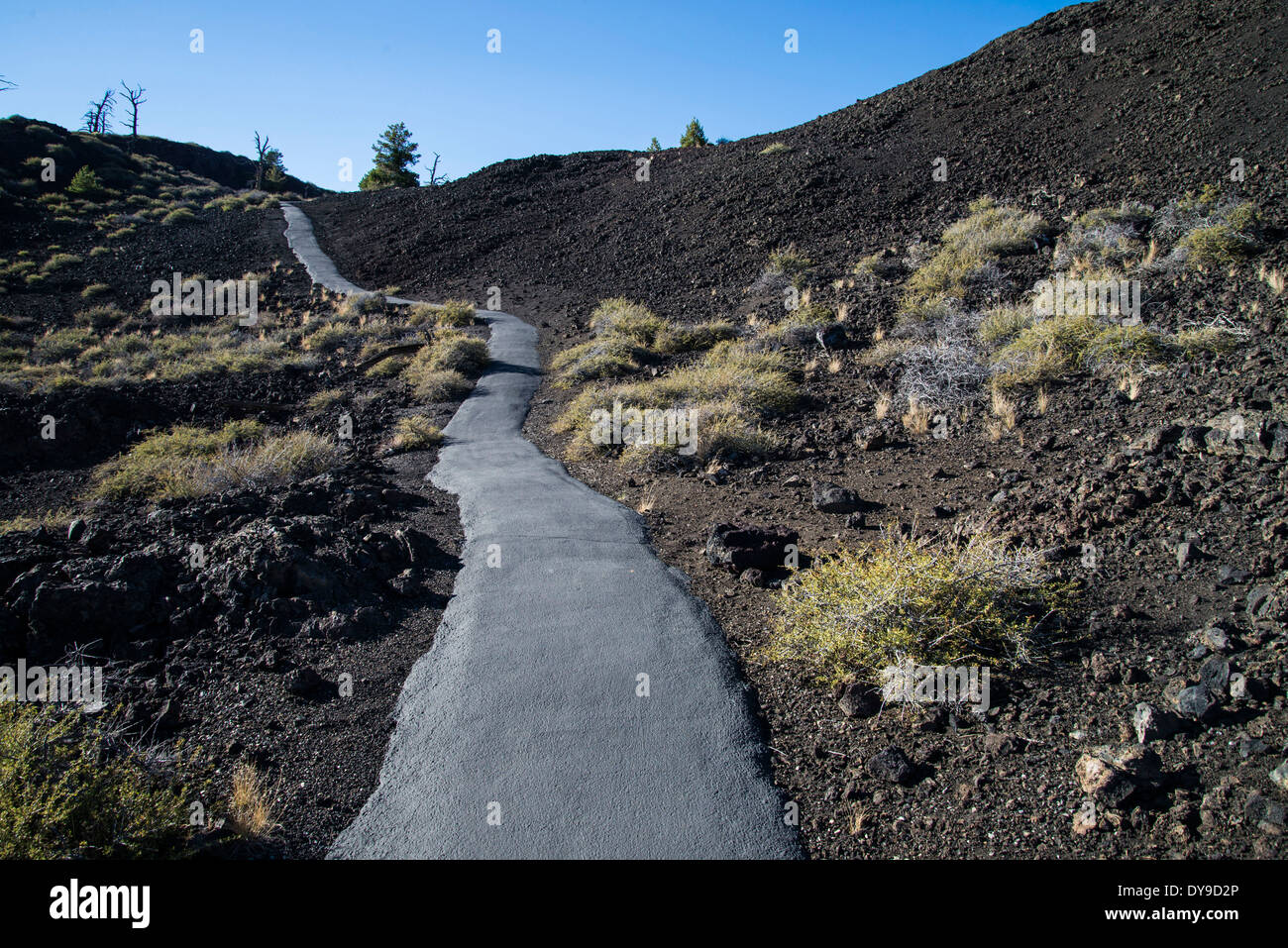 lava tree fossilized formation Craters of the Moon National Monument ...