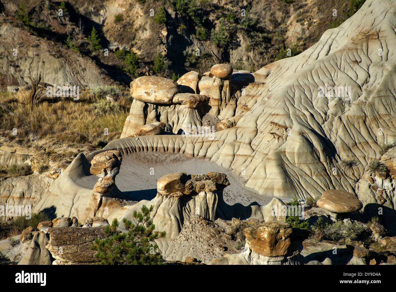 Makoshika, State Park, Montana, USA, United States, America, rock ...