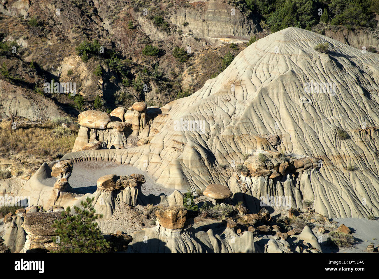 Makoshika, State Park, Montana, USA, United States, America, rock ...