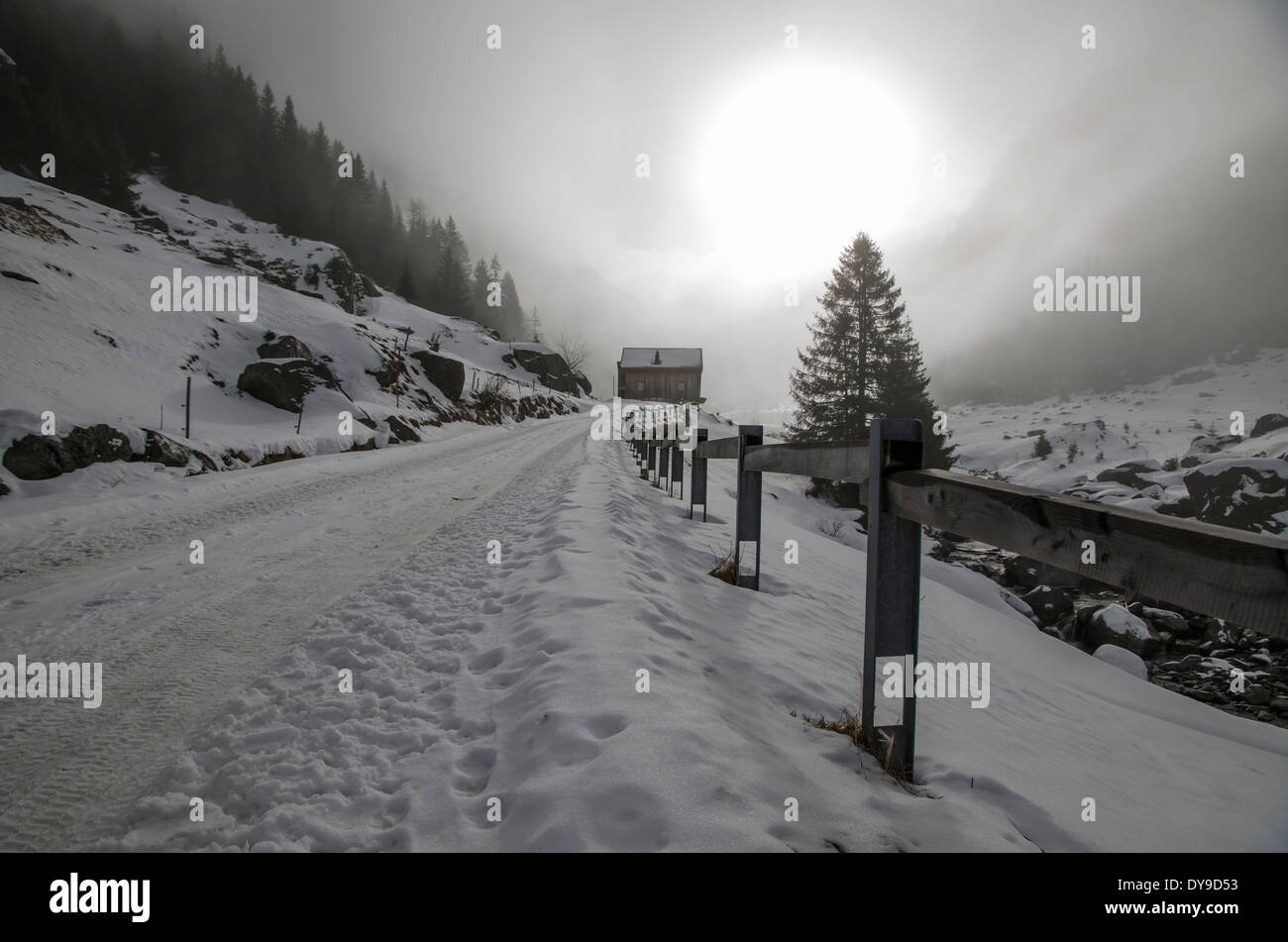 Backlit trees snow hi-res stock photography and images - Alamy