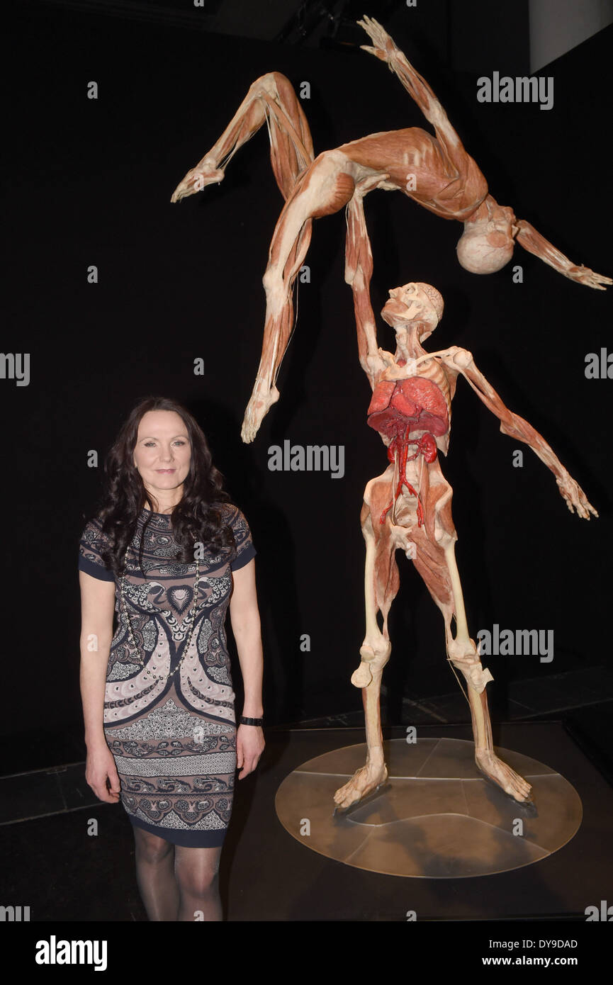 Body parts exhibition hi-res stock photography and images - Alamy