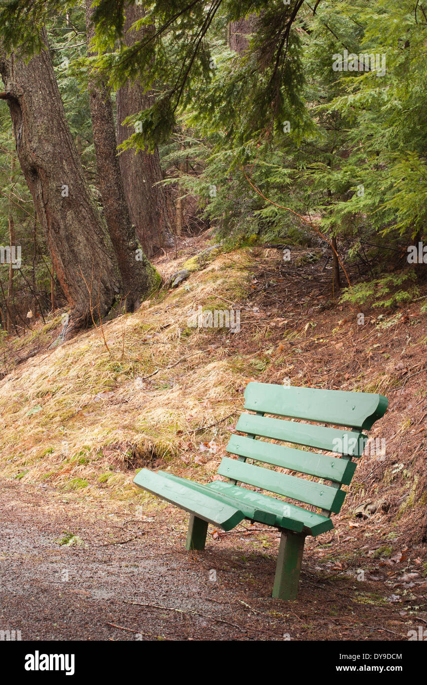 Park bench in a wooded setting Stock Photo - Alamy
