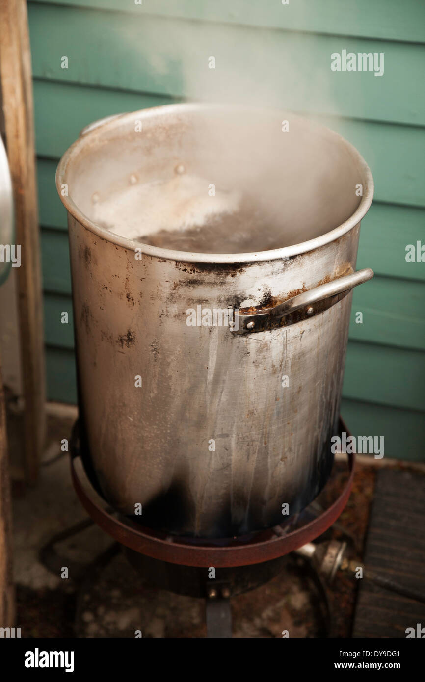 A homemade setup for boiling maple sap to make maple syrup, a common ...