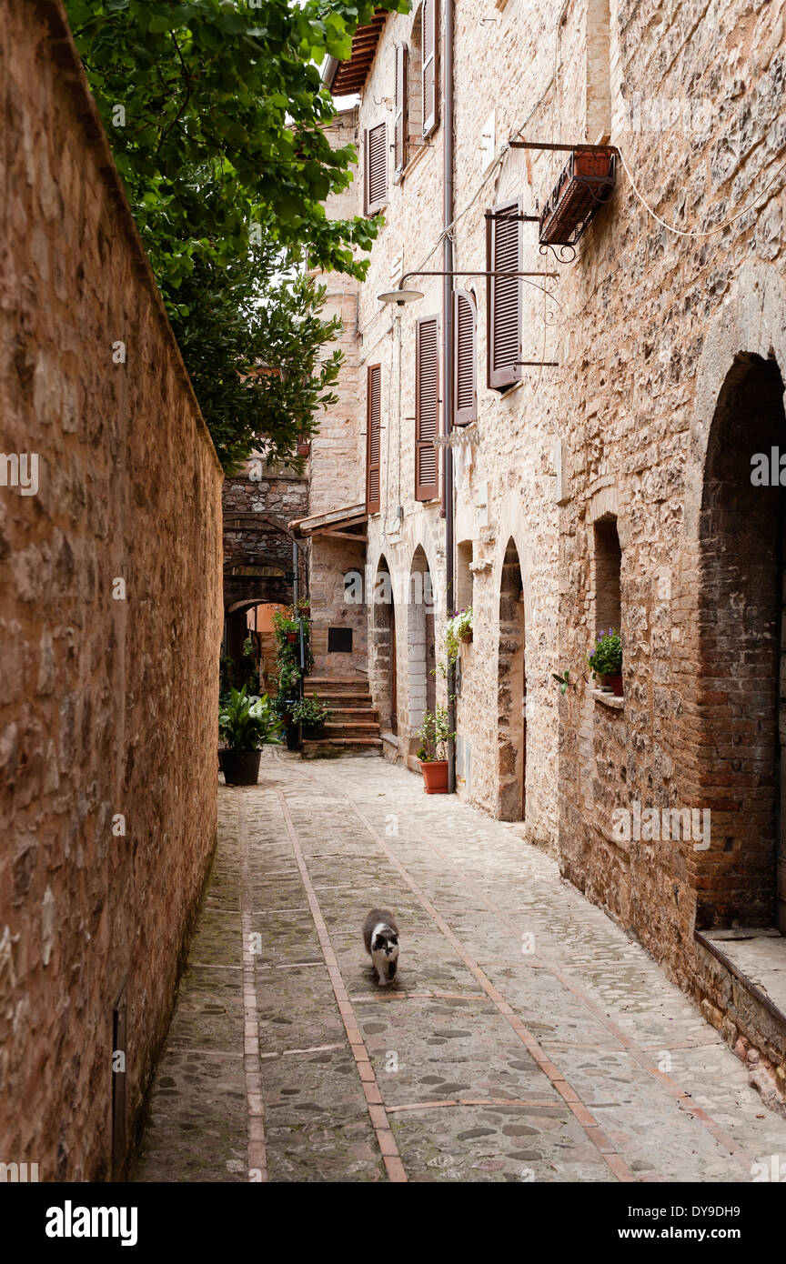 Cobbled passage hi-res stock photography and images - Alamy