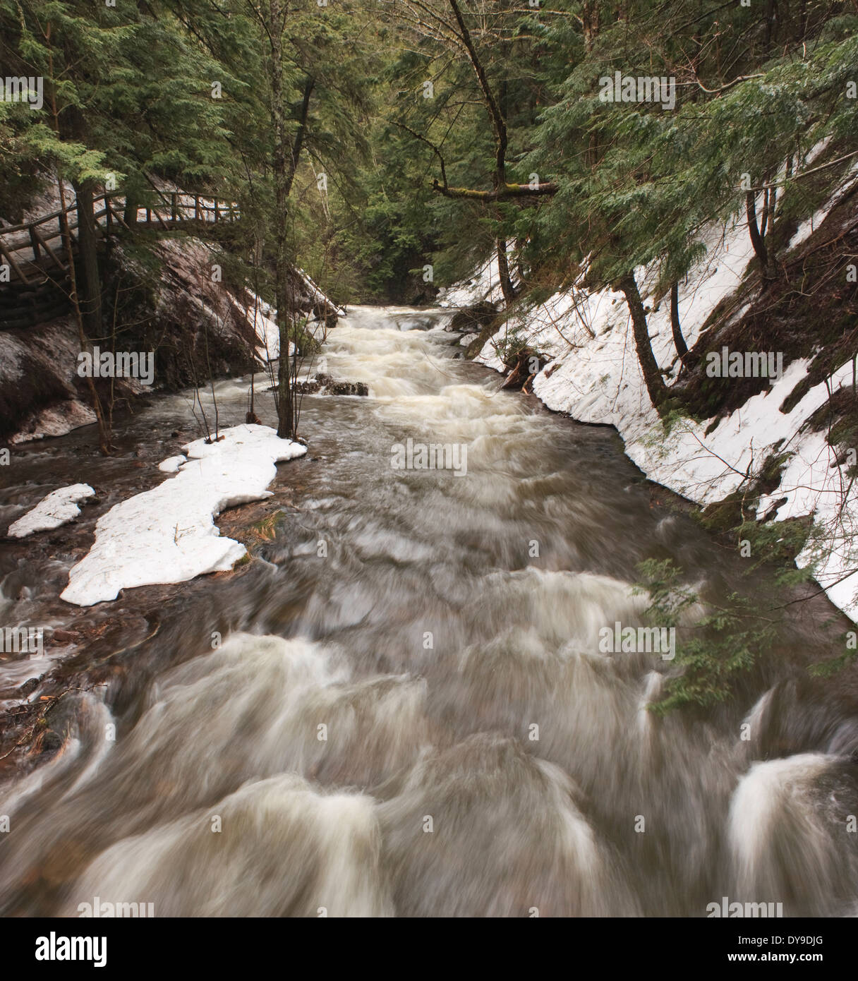 Wooded stream in Victoria Park, Nova Scotia Stock Photo - Alamy