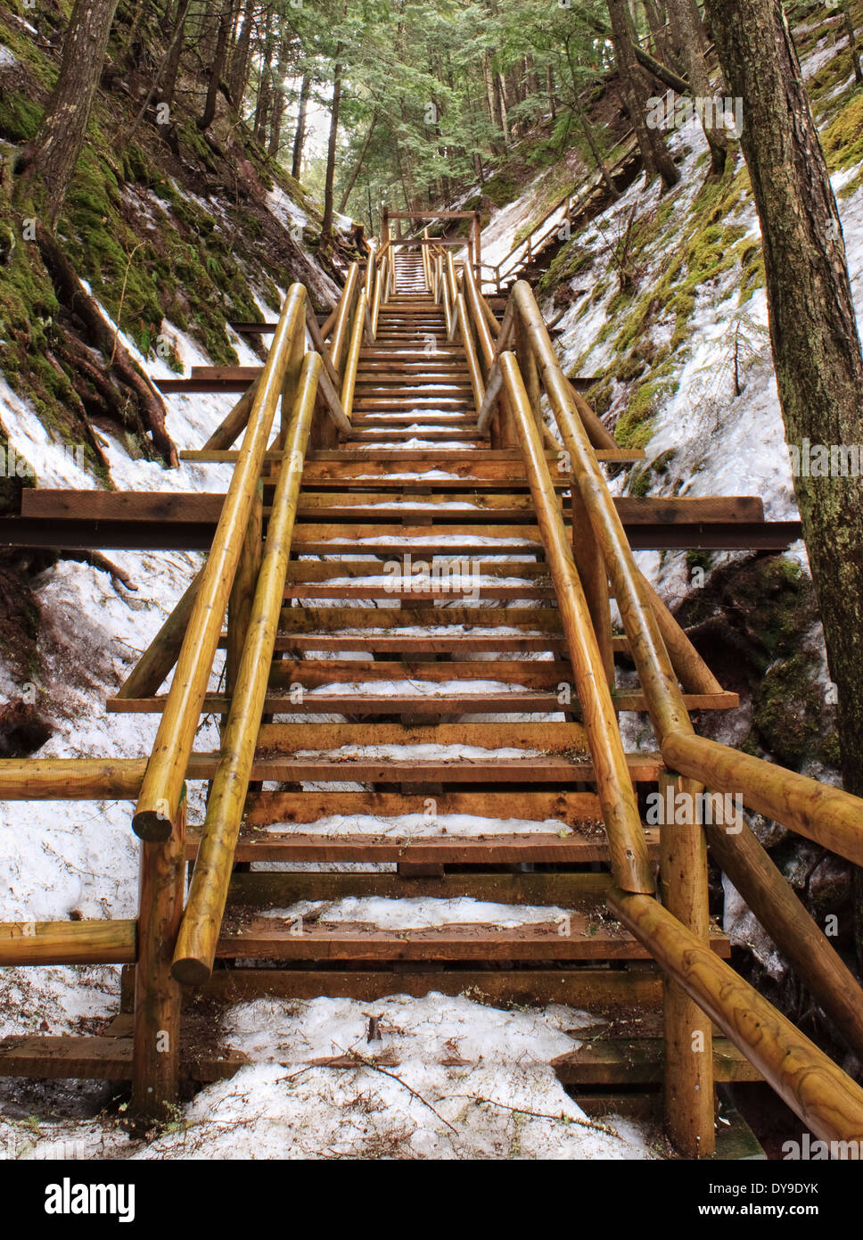 Stairway in Victoria Park, Nova Scotia Stock Photo - Alamy