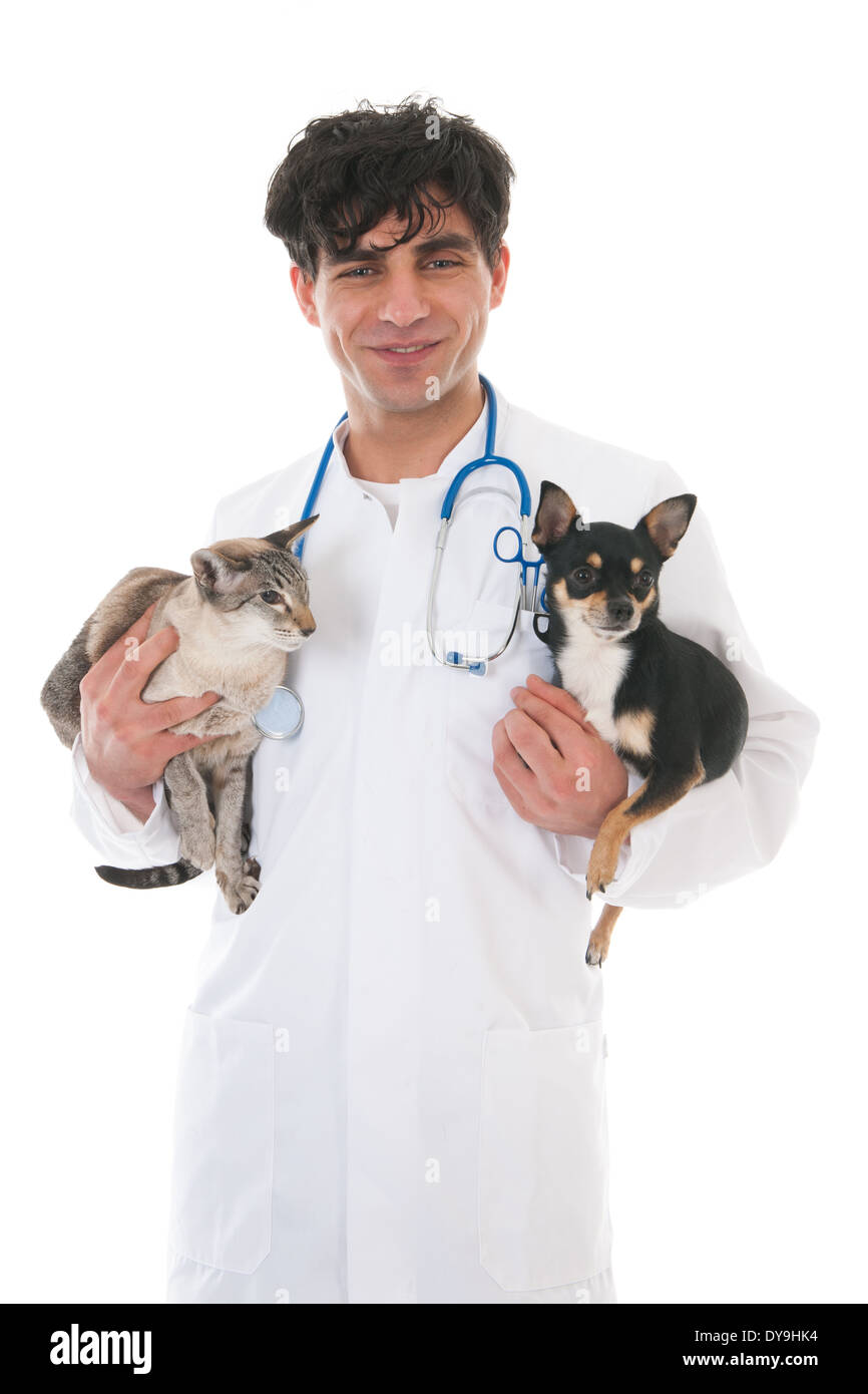 Vet carrying dog hi-res stock photography and images - Alamy