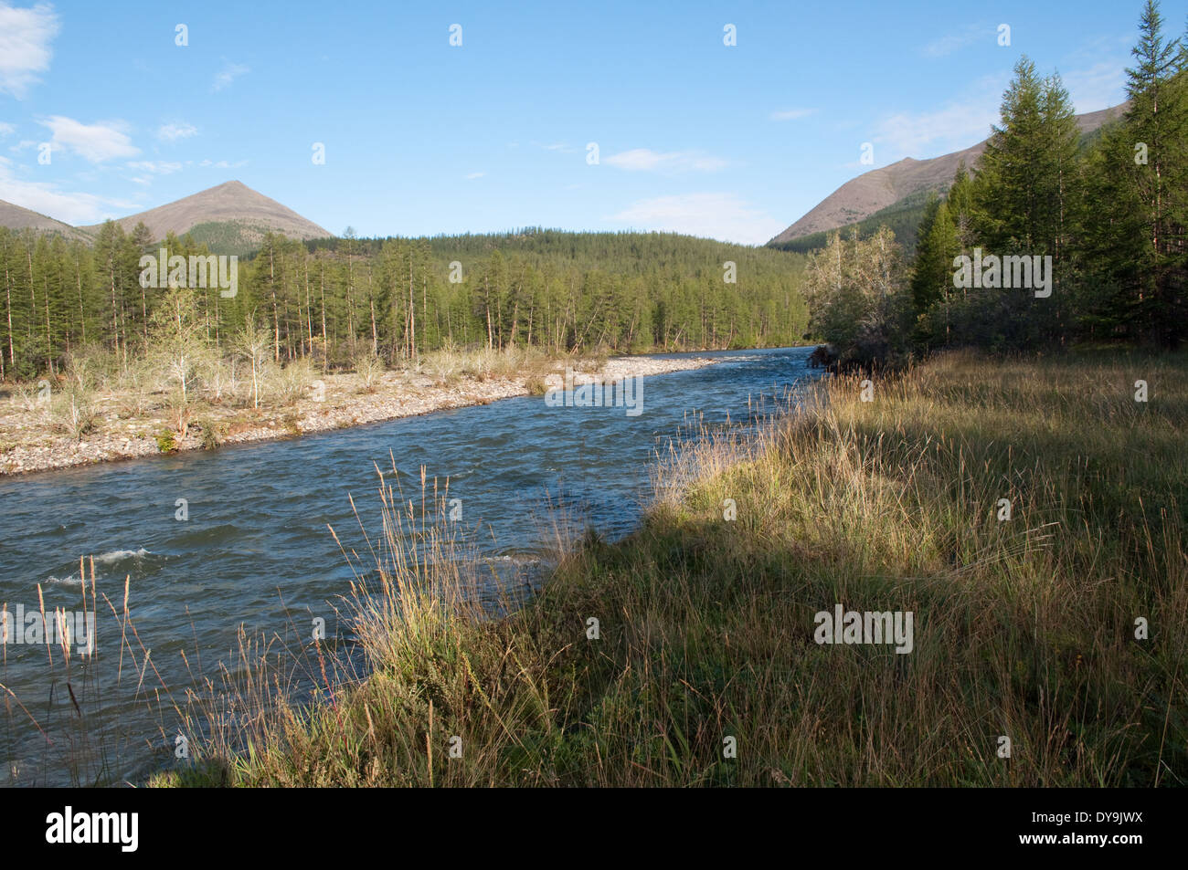 Russia, Yakutia. The landscape of the mountain river clear summer ...