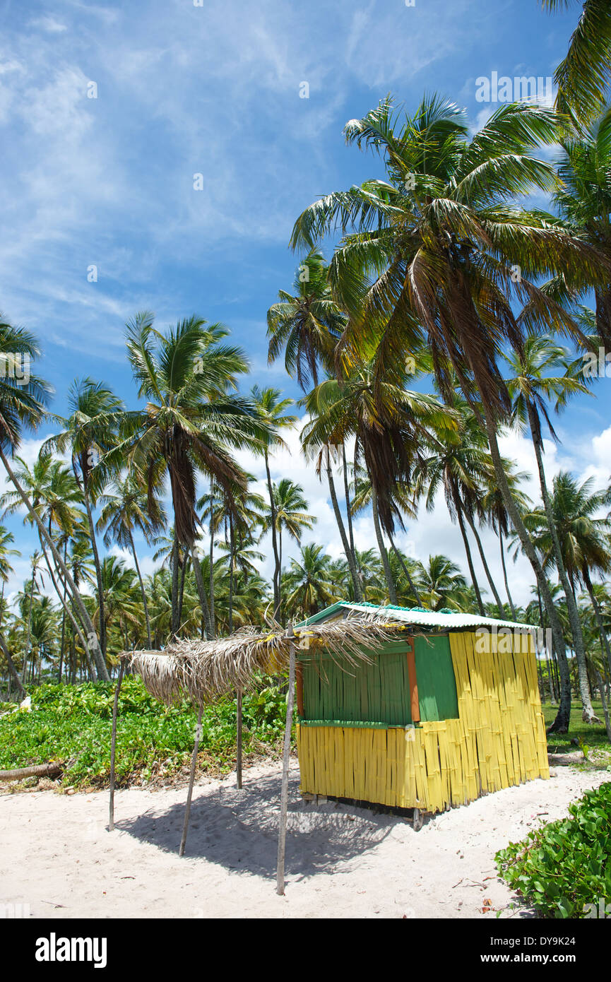 Rustic Brazilian beach shack in yellow under palm trees on empty ...