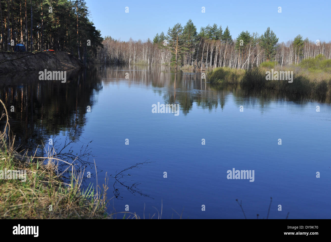 May the landscape. River PRA, the national Park "Meschera" in the ...