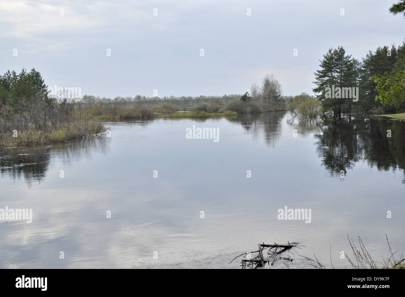 May the landscape. River PRA, the national Park "Meschera" in the ...
