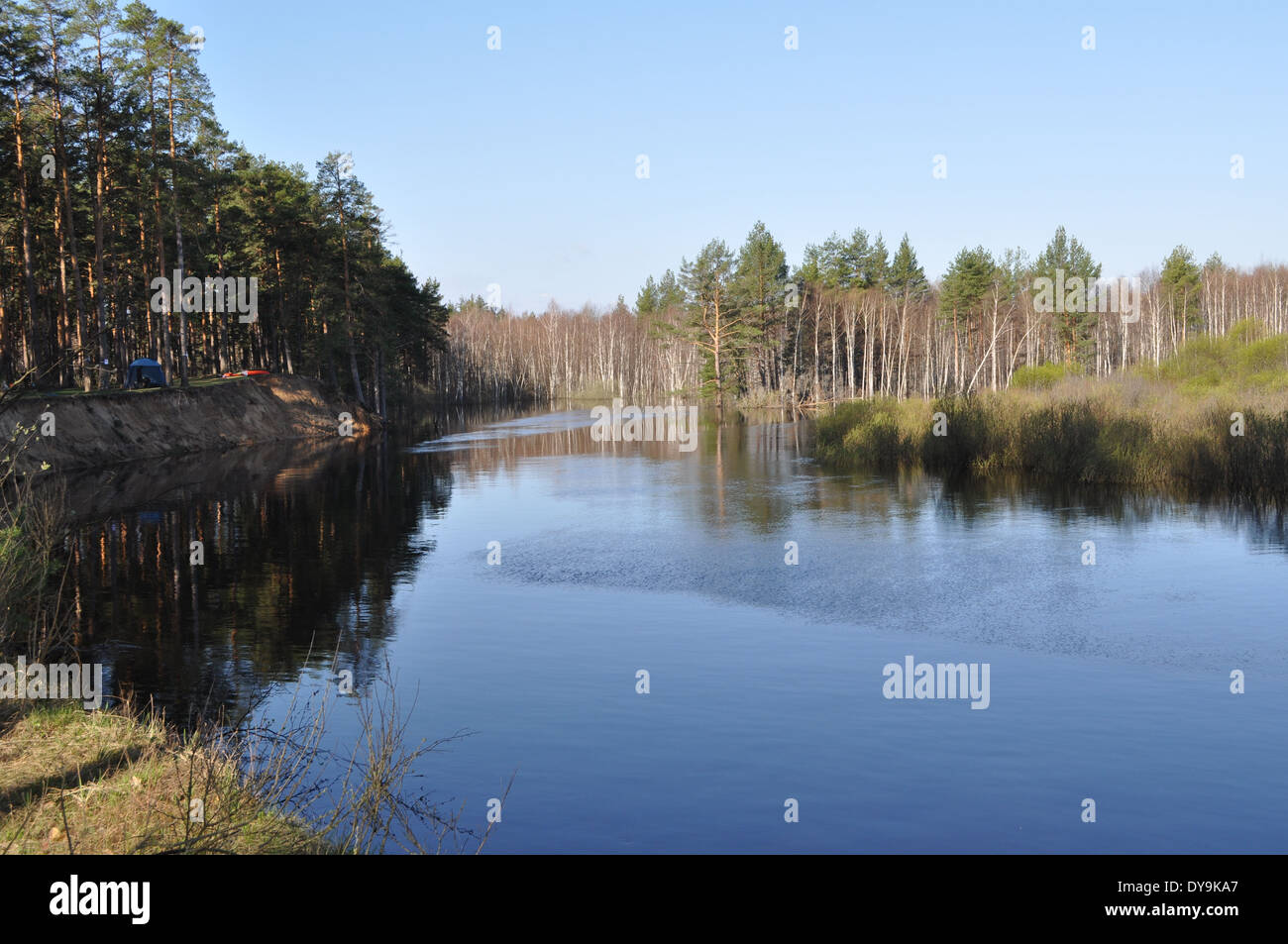 May the landscape. River PRA, the national Park "Meschera" in the ...