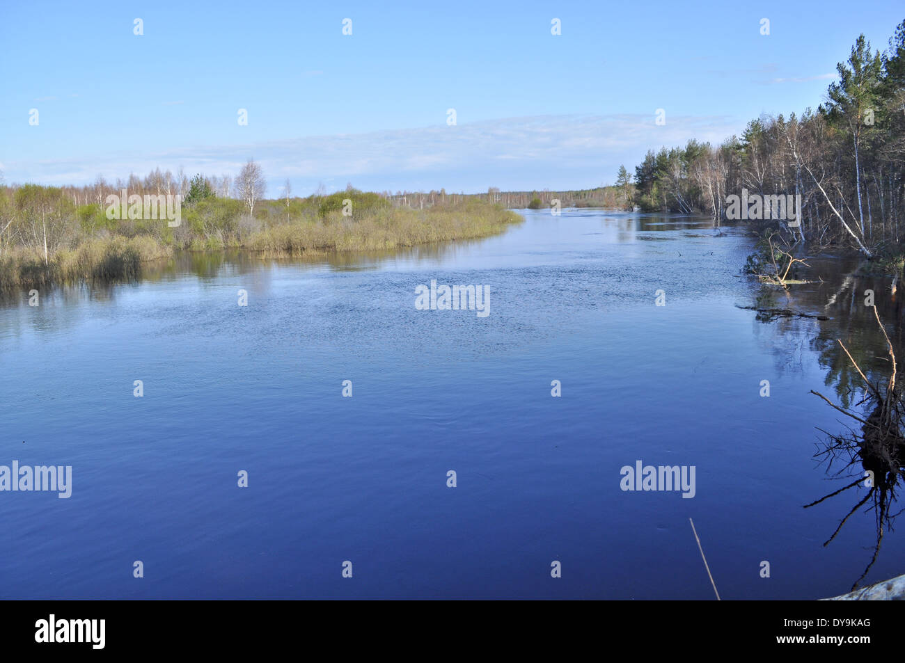 May the landscape. River PRA, the national Park "Meschera" in the ...