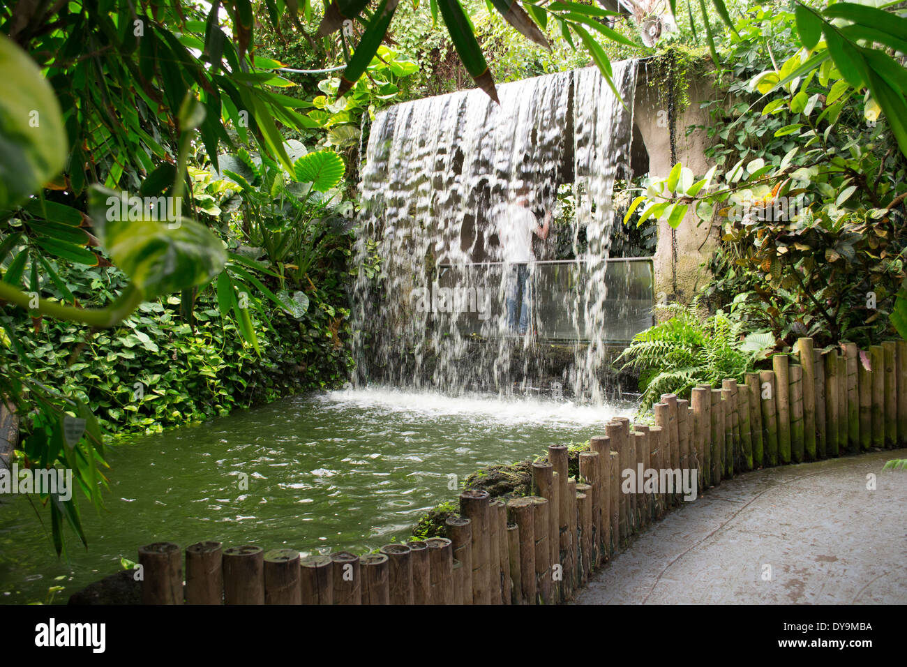 Waterfall in Tropical World, Leeds Stock Photo - Alamy