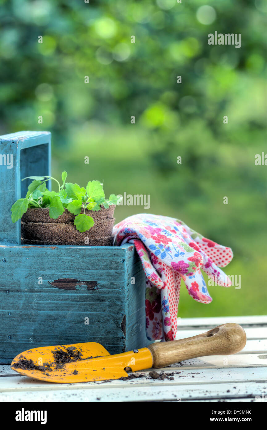 Garden tools in a blue wooden tool box on green garden background ...