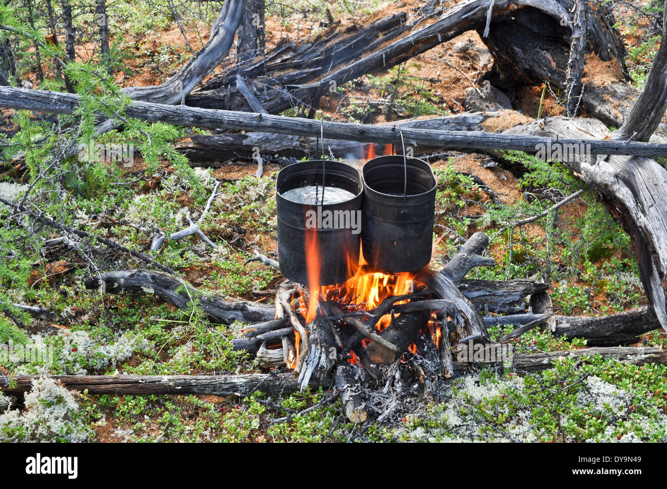 Cooking on camp fire. Russia, Eastern Yakutia, a ridge of Suntar ...