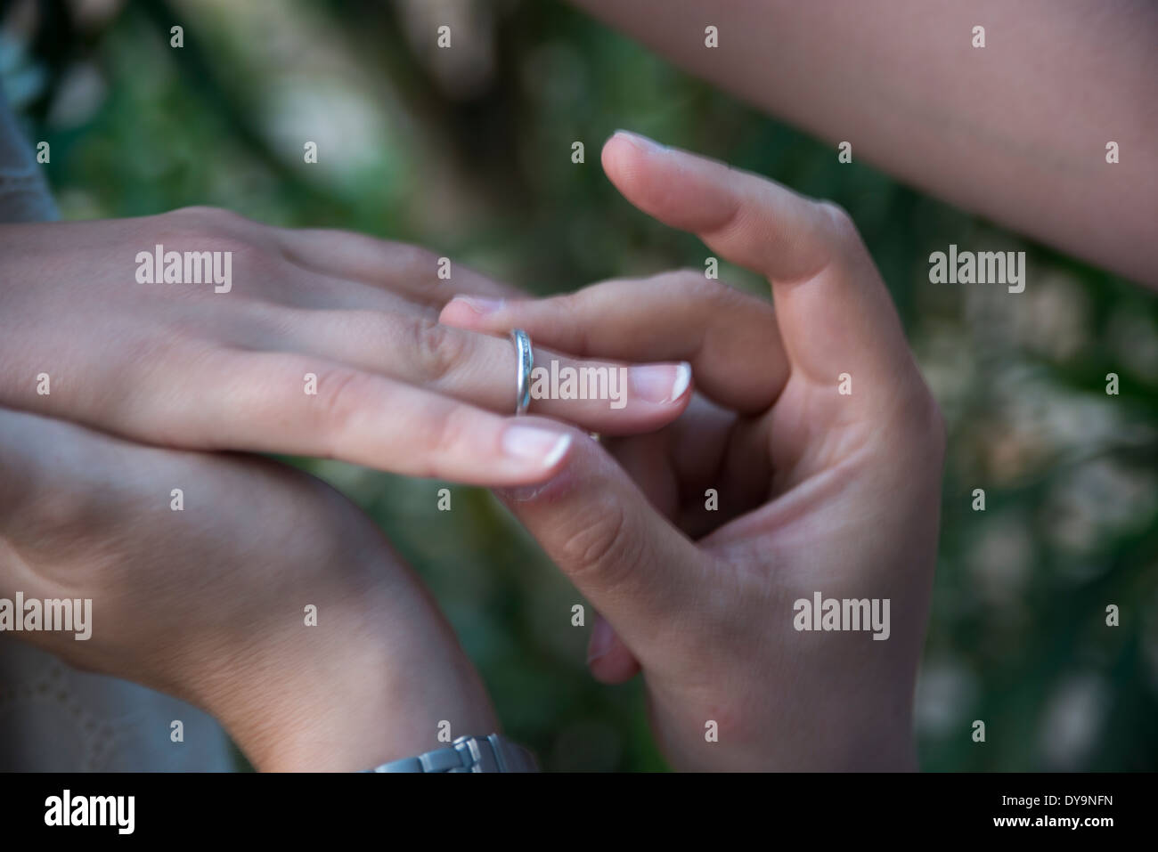 Time to marry, placing the wedding ring. Groom putting the ring on the ...