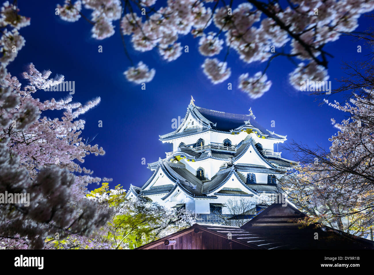 Hikone Castle during the spring season in Hikone, Japan Stock Photo - Alamy