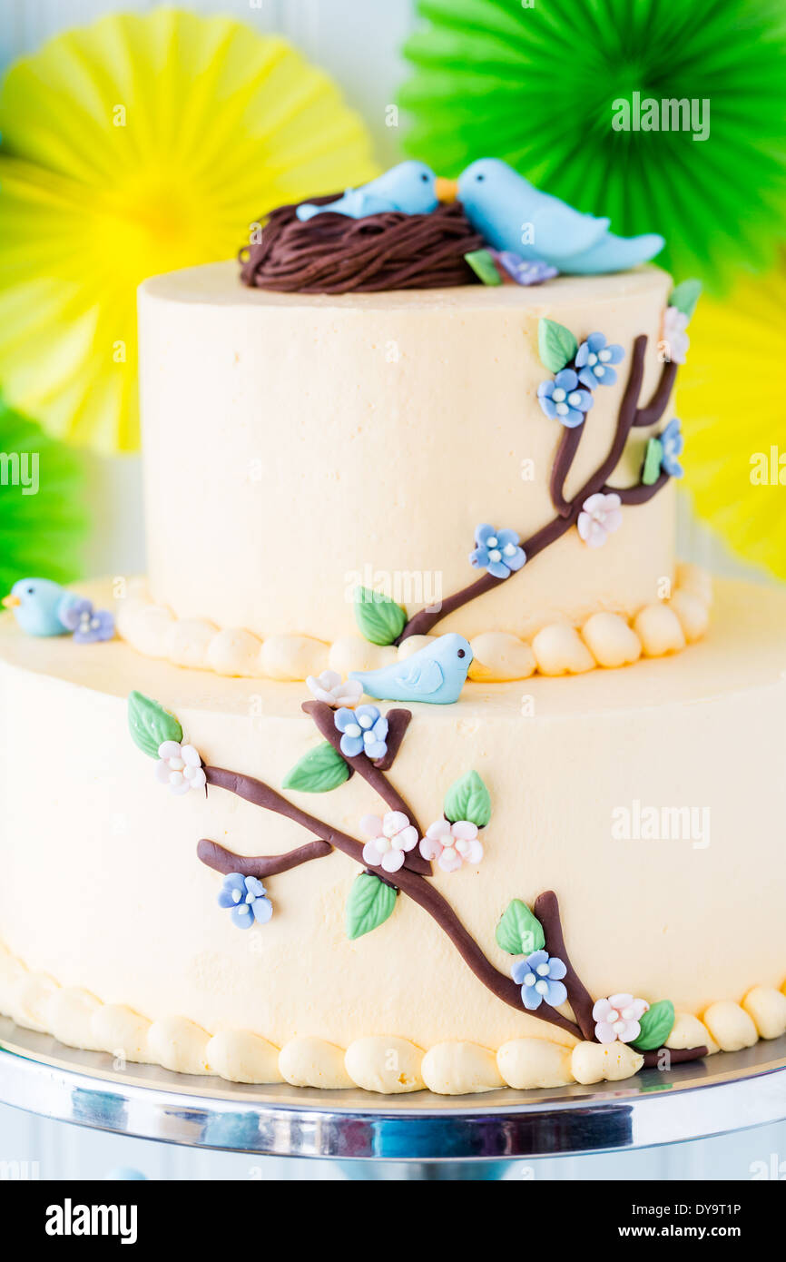 Gourmet Spring two layer cake with blue birds and spring flowers Stock ...