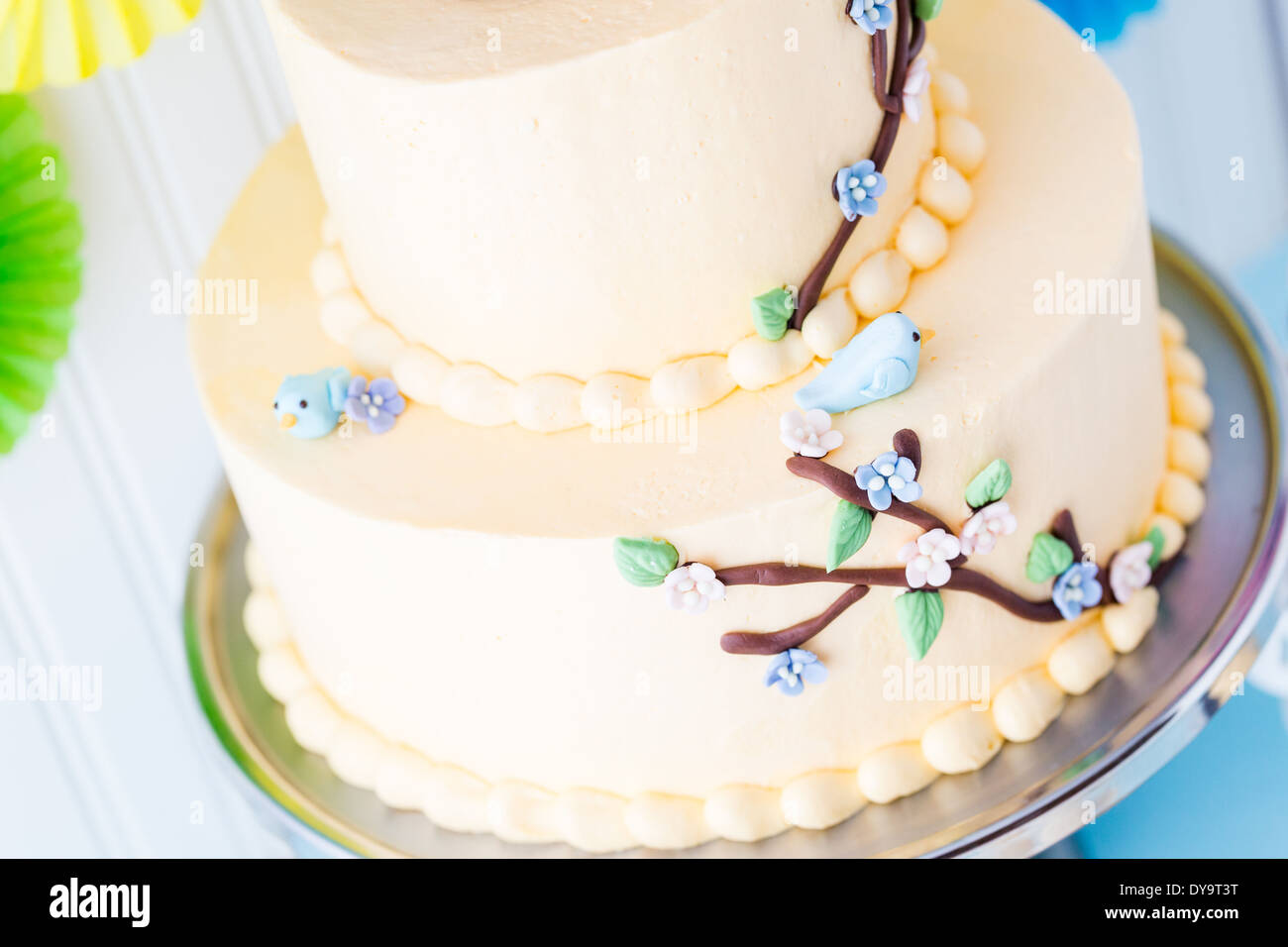 Gourmet Spring two layer cake with blue birds and spring flowers Stock ...