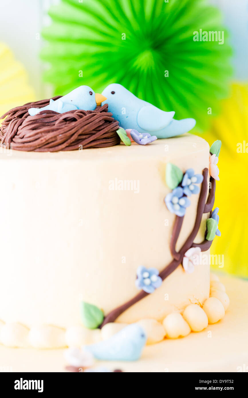 Gourmet Spring two layer cake with blue birds and spring flowers Stock ...