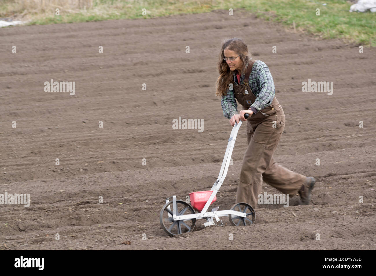 Farmer planting seeds using a walk behind seeder, Wallowa Valley ...