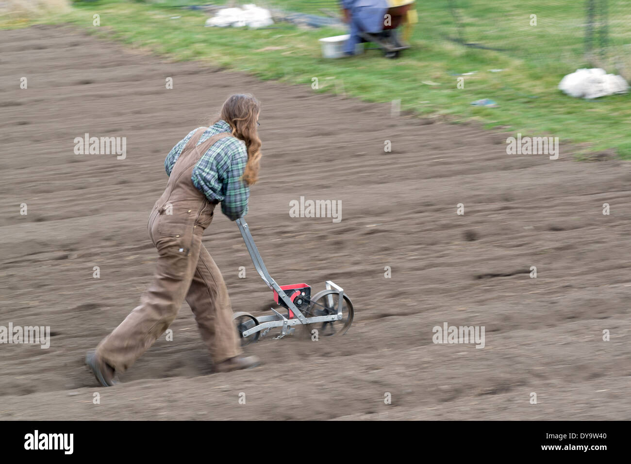 Farmer planting seeds using a walk behind seeder, Wallowa Valley ...