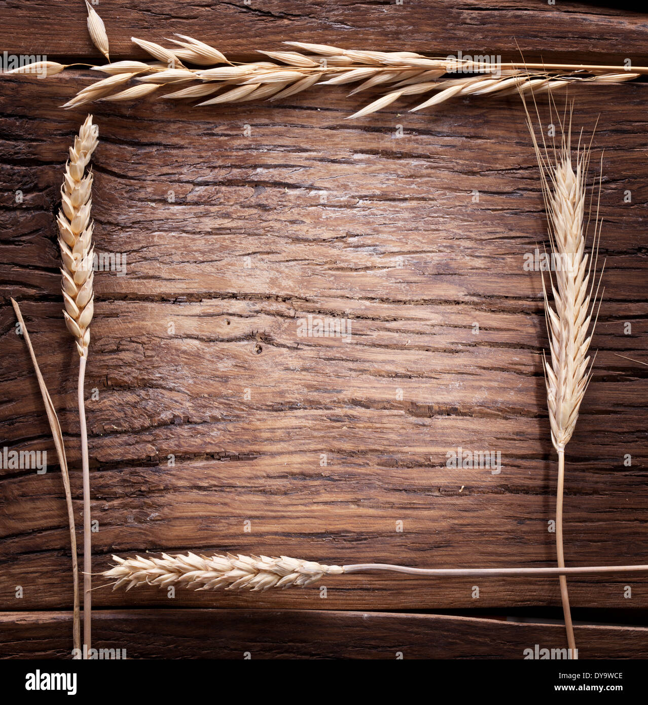 Wheat frame hi-res stock photography and images - Alamy
