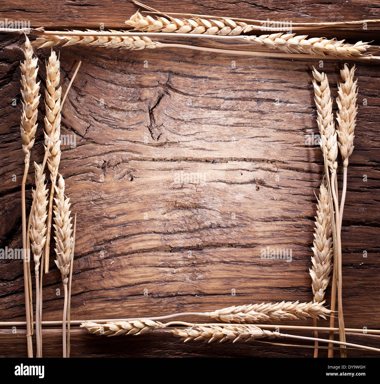 Wheat frame hi-res stock photography and images - Alamy