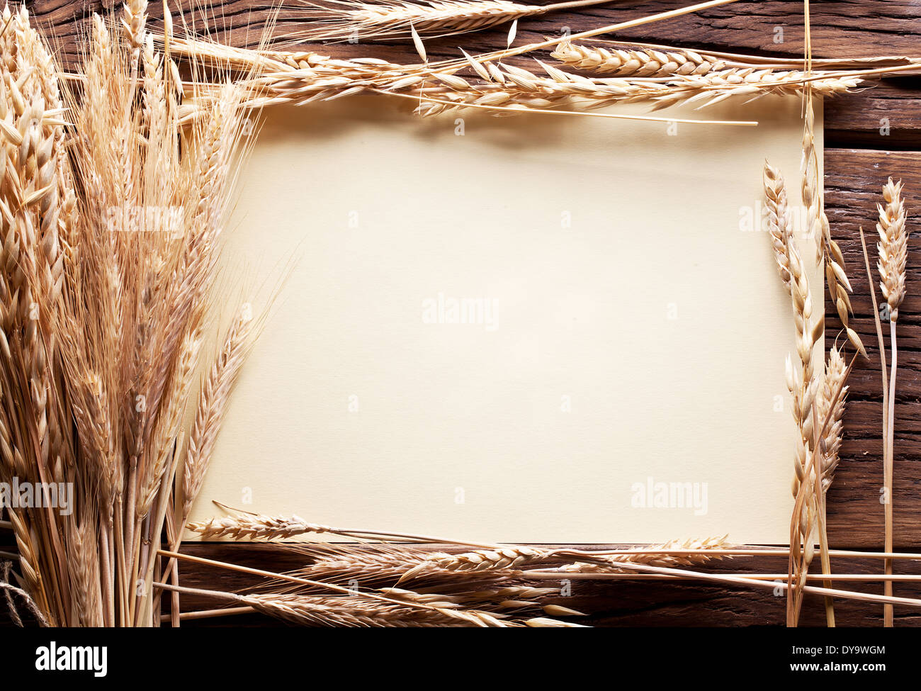Wheat grain in form frame hi-res stock photography and images - Alamy