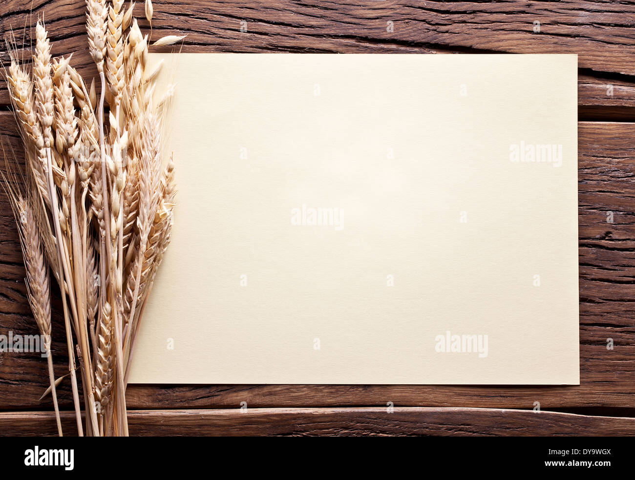 Sheaf of paper hi-res stock photography and images - Alamy